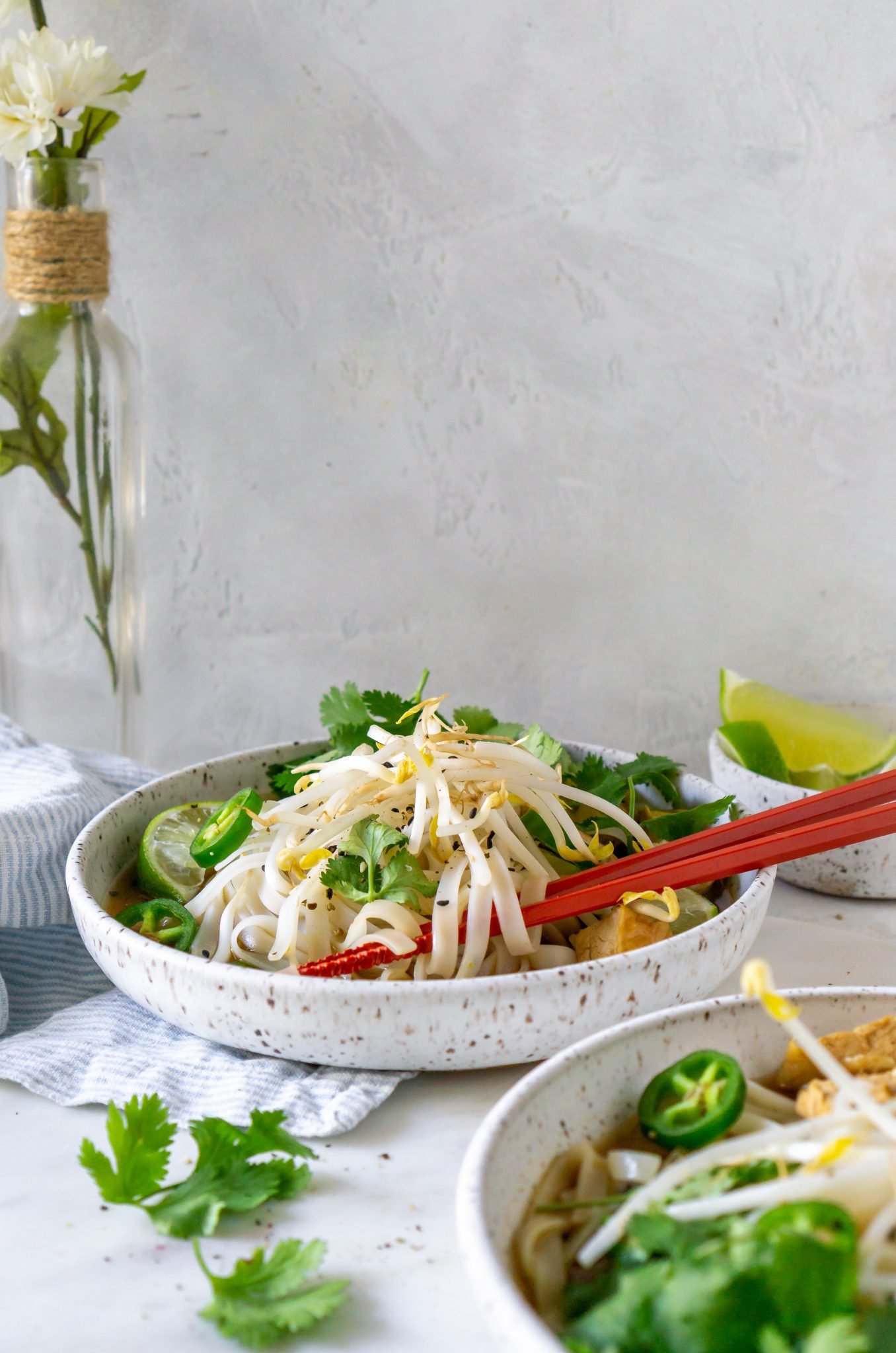 Easy Chicken Pho Recipe - JZ Eats